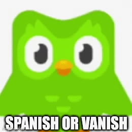 dUoLiNgO - Imgflip