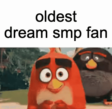 Angry birds lonely - Imgflip