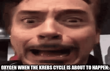 this is school project nvm - Imgflip