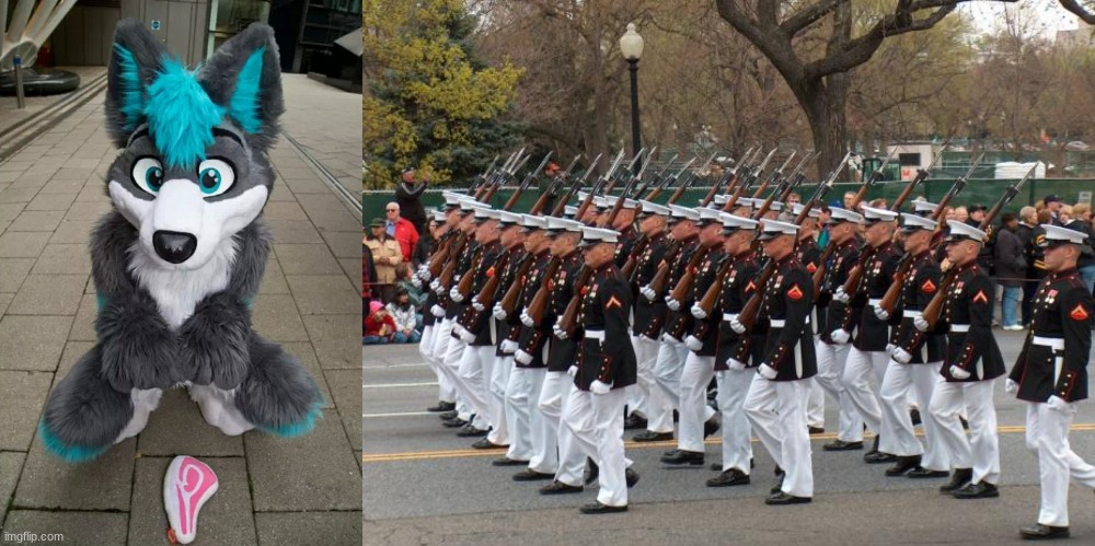 This is the official Furries Lives Matter logo! - Imgflip