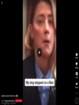 Roast battles - Imgflip