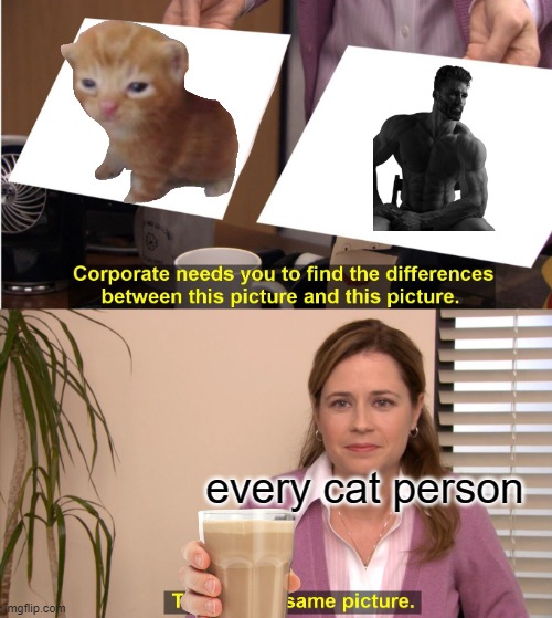 They're The Same Picture Meme - Imgflip