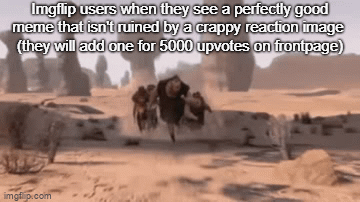 Animated GIF - Imgflip