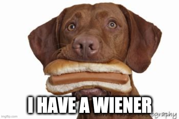 We have a winner - Imgflip