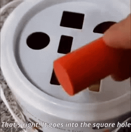Square Hole Fail! - Imgflip