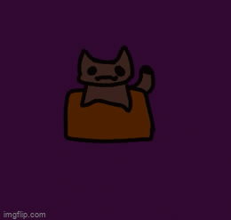 local cat in a box dances and turns into a potato - Imgflip