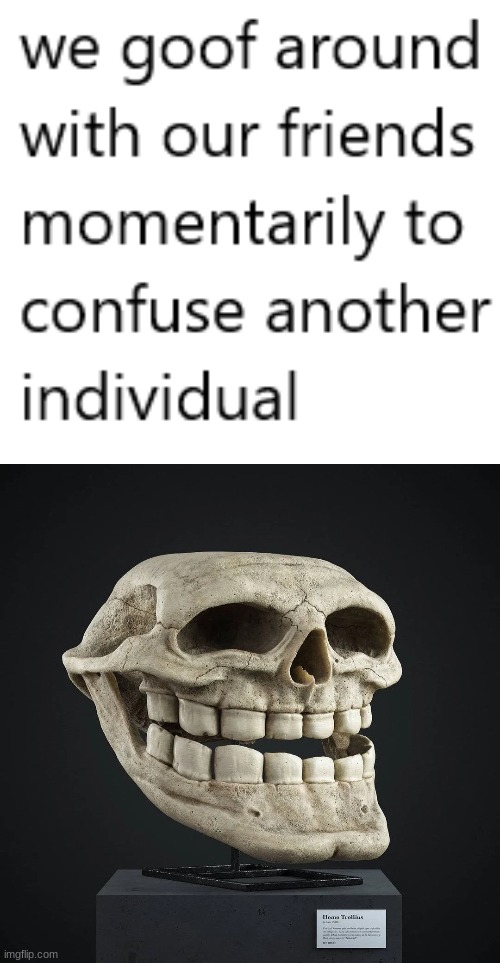 based off my last post :skull: - Imgflip