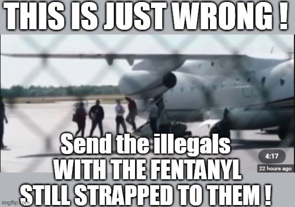Sending just the illegals to Martha is a start - Imgflip