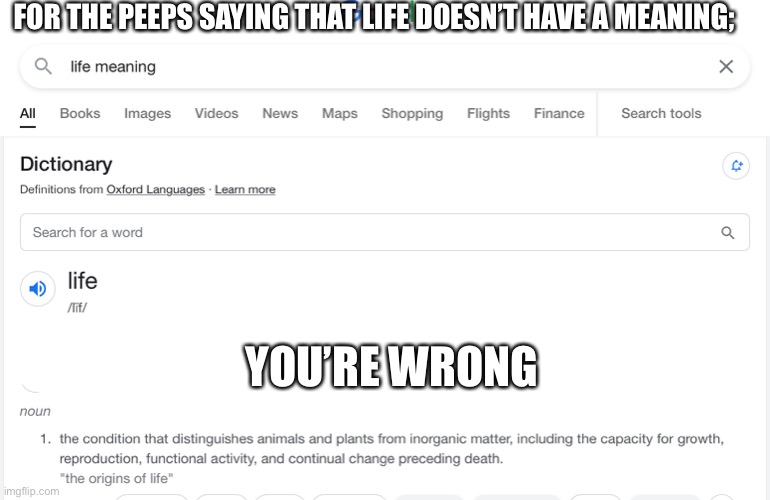 Life DOES Have A Meaning It s Common Sense Imgflip life-does-have-a-meaning-it-s-common-sense-imgflip