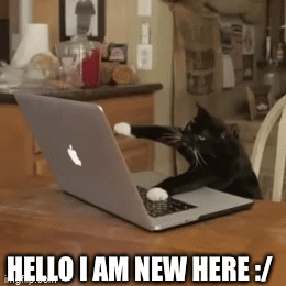 New guy XD - Imgflip