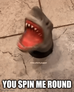 You Spin Me Round - Imgflip