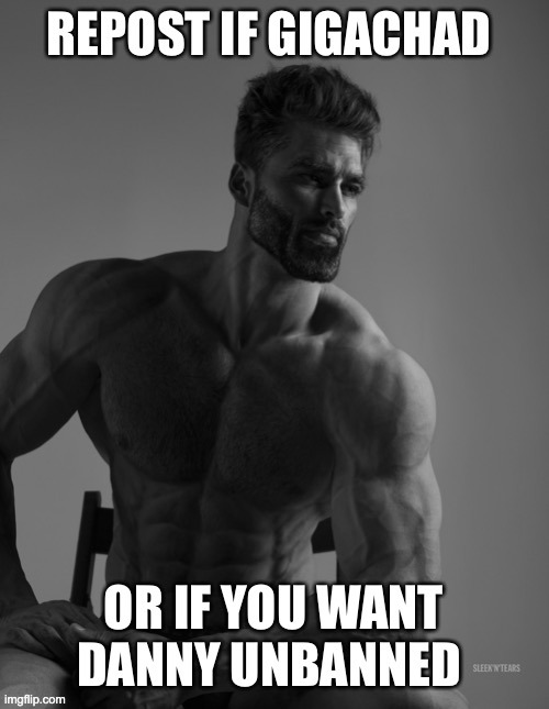 definitely the gigachad part - Imgflip