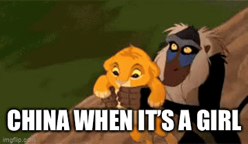 Lion king yeet - Imgflip