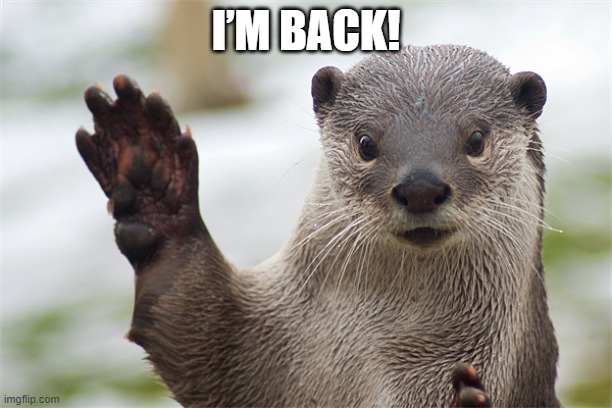Welcome Back, Otter. - Imgflip