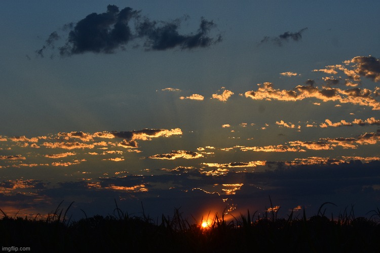 this morning at dawn - Imgflip