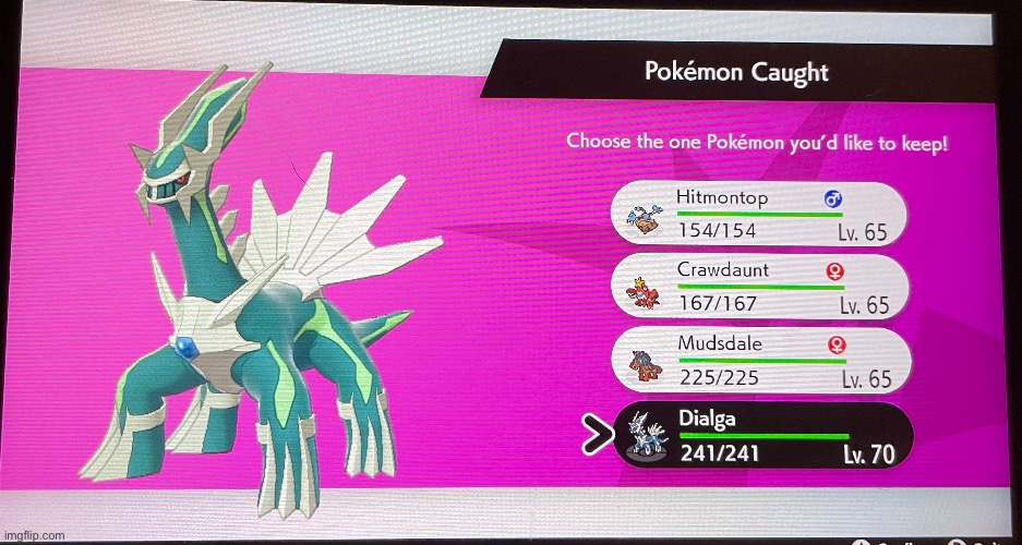 [gen 8] SHINY DIALGA IN 3 PHASES WOOOOOOOOOOOOOOOOOOOOOOOOOOOOOOOOOO ...