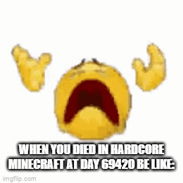 Me when I died in Day 69420 in minecraft - Imgflip