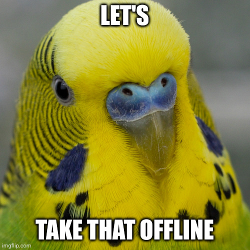 Image tagged in meeting budgie - Imgflip