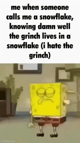 why do people use snowflake as an insult again - Imgflip