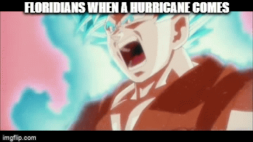 Average florida man - Imgflip
