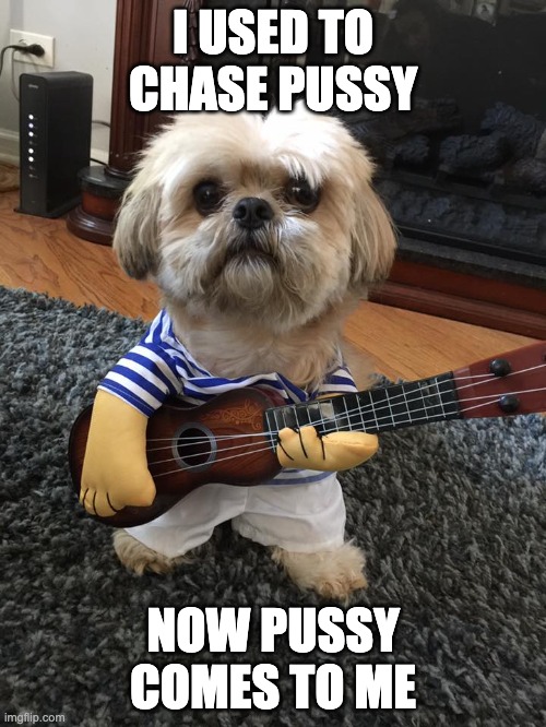 Guitar players get more action - Imgflip