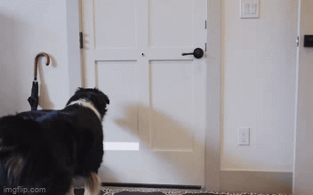 The automatic door - Imgflip