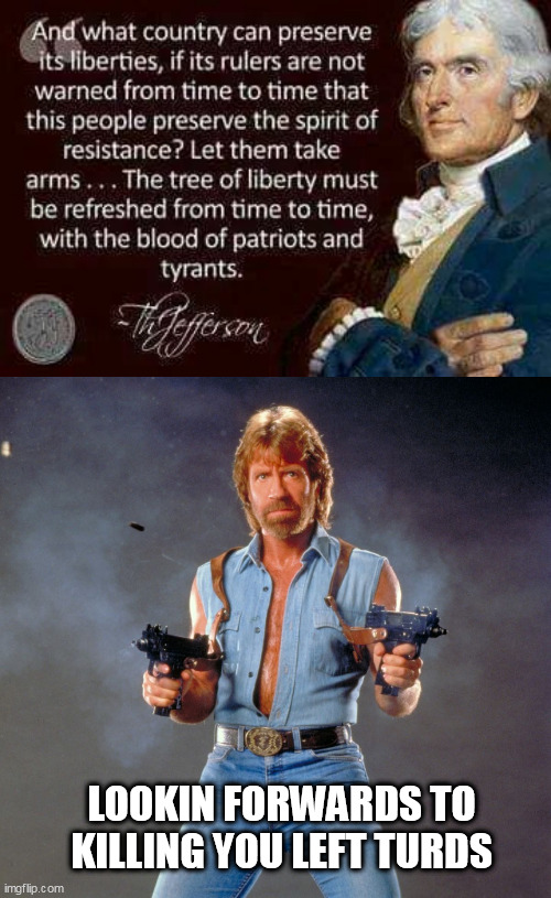 Image tagged in maga,memes,chuck norris guns - Imgflip