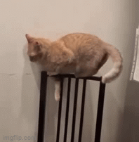 So Much for Getting Comfortable - Imgflip