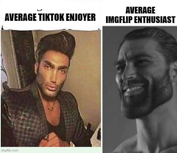 Image Tagged In Average Fan Vs Average Enjoyer gigachad memes funny 