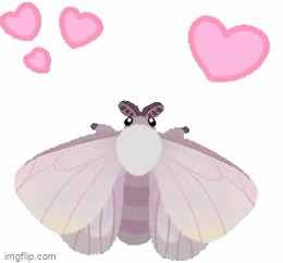Animated GIF - Imgflip