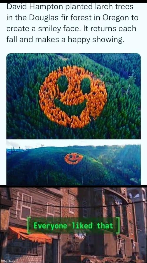 EVEN THE TREES LOVE THE FALL TIME - Imgflip