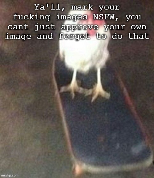 Dog on skateboard - Imgflip