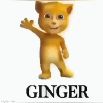 Ginger - Imgflip