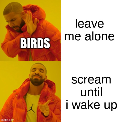 Drake Hotline Bling Meme - Imgflip