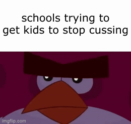 i've even heard preschoolers drop f bombs - Imgflip
