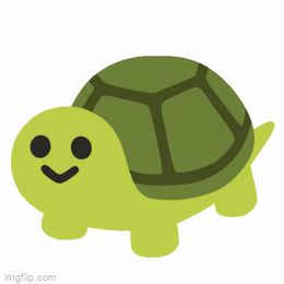 Animated Turtle - Imgflip