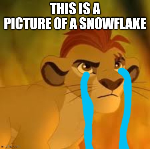 Kion crybaby - Imgflip