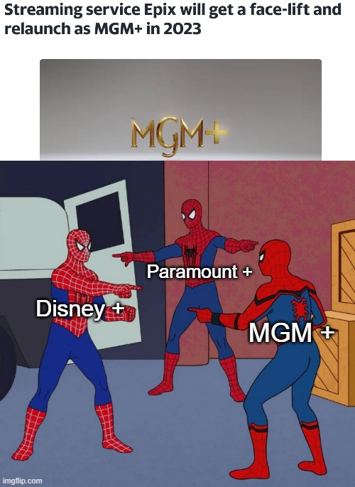 STOP WITH THESE DUMB STREAMING SERVICES ...