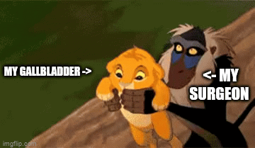 Yeeting my gallbladder - Imgflip