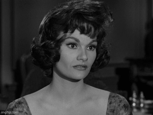 Gloria Talbott Perry Mason - Imgflip