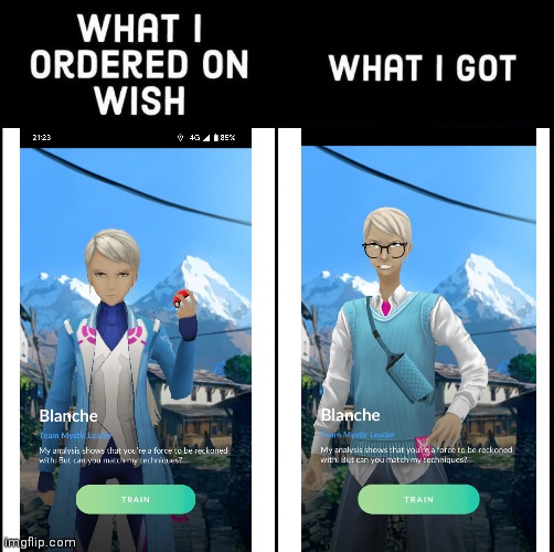 what I ordered on wish and what I got - Imgflip