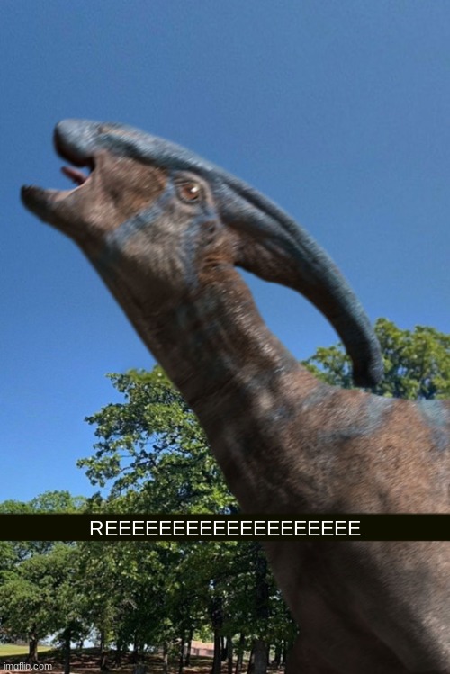 REEEEEEEEEEEEEEEEEEEEEE - Imgflip