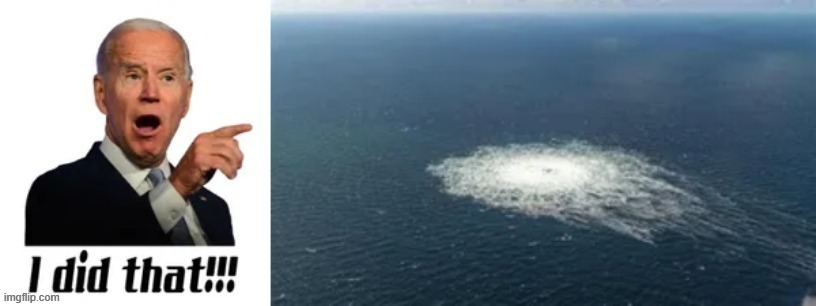 The resident - Imgflip