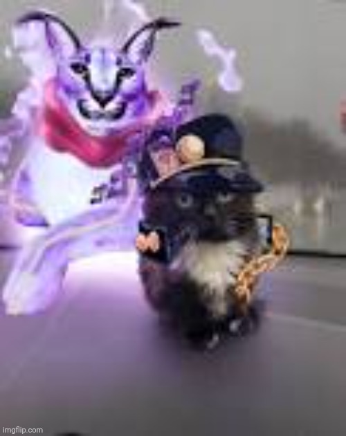 Chmonya and Floppa - Imgflip