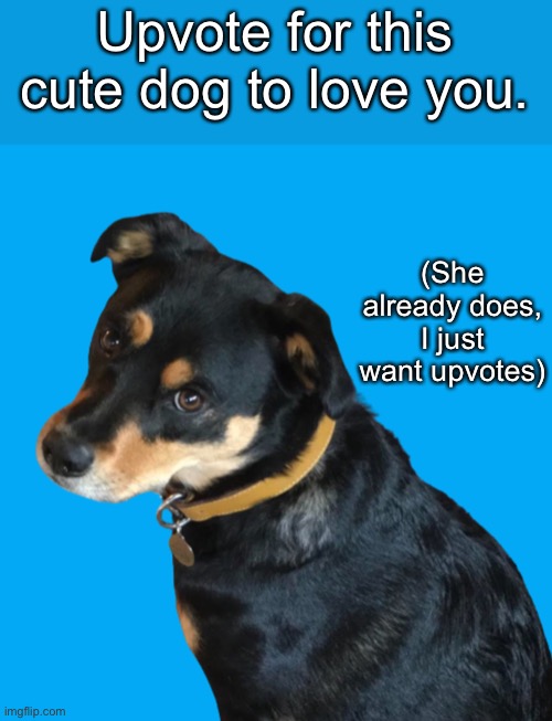 Please upvote! - Imgflip