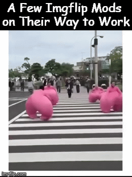Having Fun Flipping Memes - Imgflip