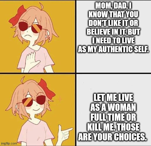 Trans MtF drake meme - Imgflip