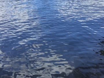 Satisfying water at my family’s lakehouse from a couple months ago ...