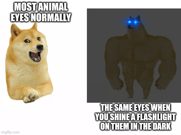 Srsly dat shit SCARY - Imgflip