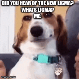 LIGMA BA- - Imgflip